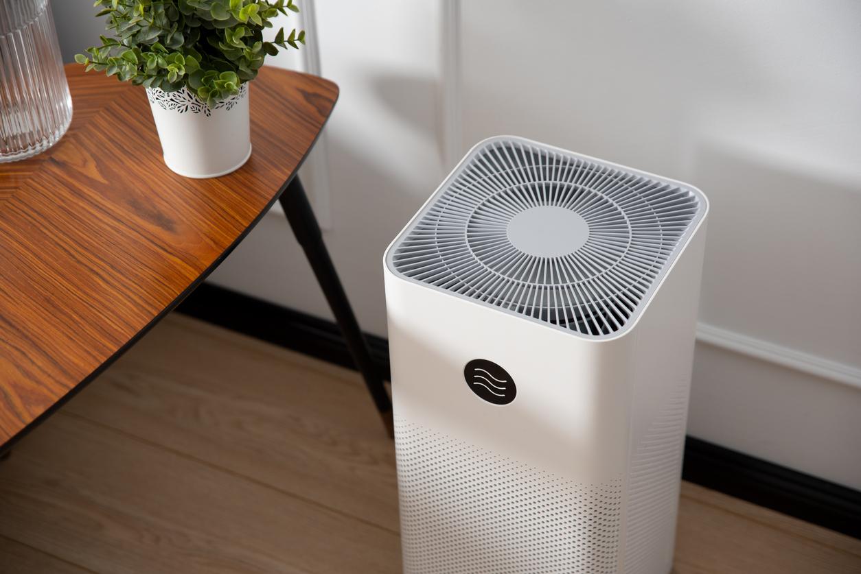 Are Air Purifiers Worth the Money? - Allied Air